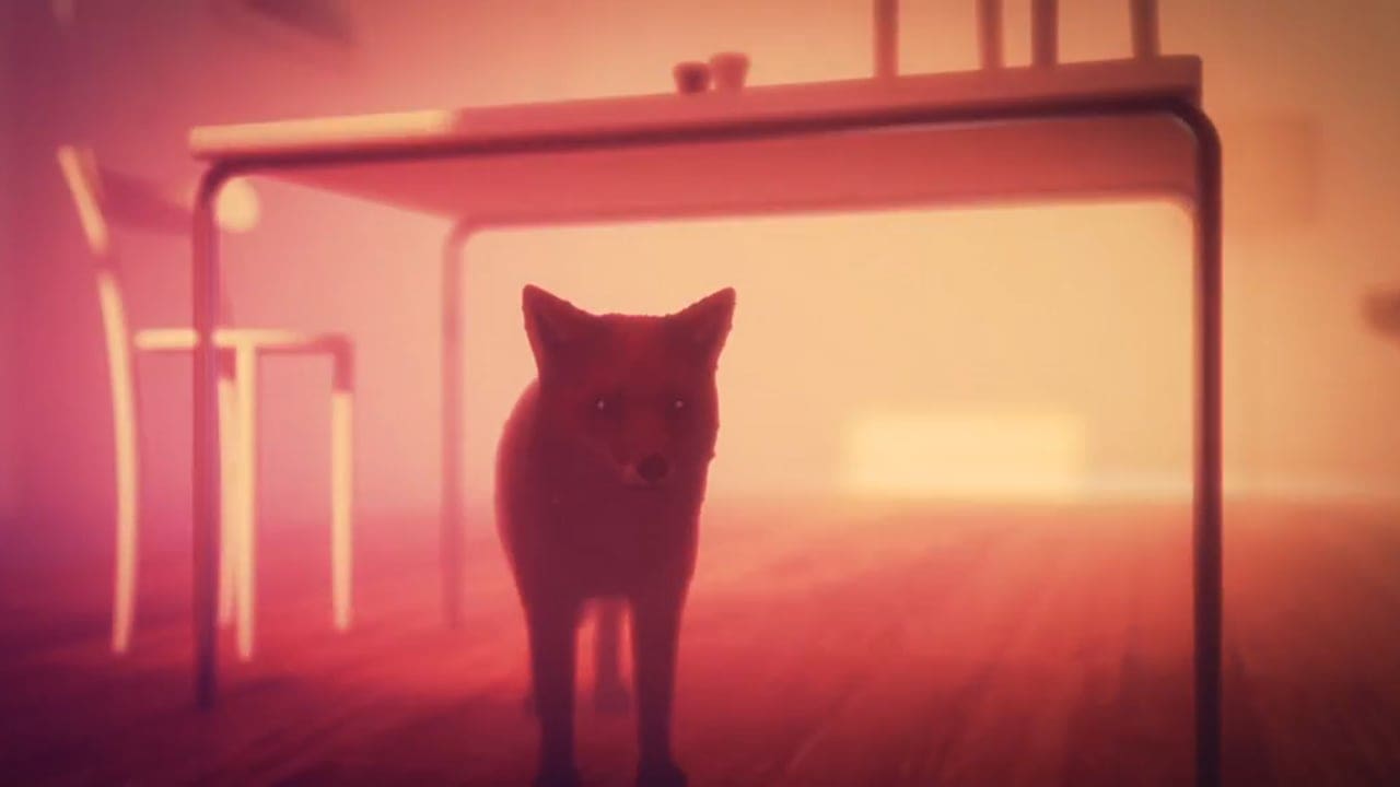 Song Video Of The Day Wennink Dissolve